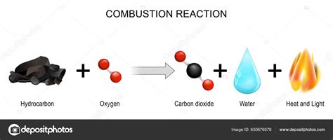 Combustion Reaction Chemical Reaction Fuel Oxygen Produce Heat Light