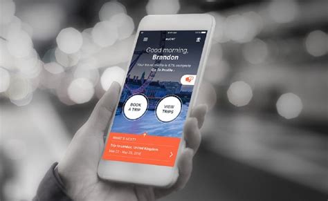Innovation Cwt Fait Feu De Tout Bois Pour Enrichir Mycwt