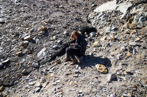 Xandra Van Der Eijks Installation Explores Feelings Of Ecological Grief