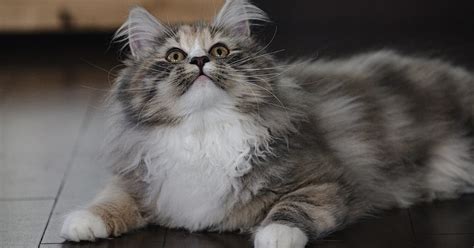 Jquery Uiのsortableを使ってリストをドラッグで並び替える Mugen Web Note