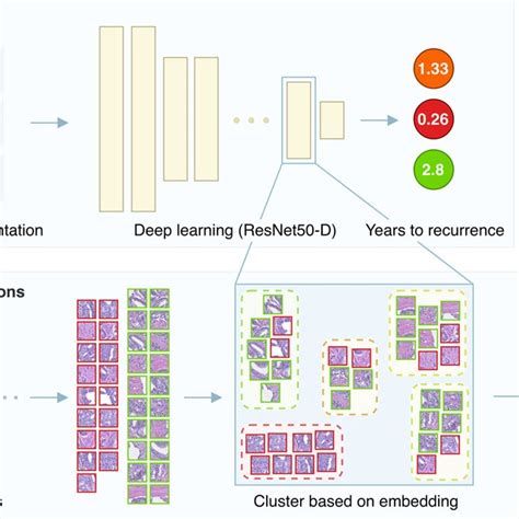 Overview Of The Methods Summarizing The Biomarker Development And The Download Scientific