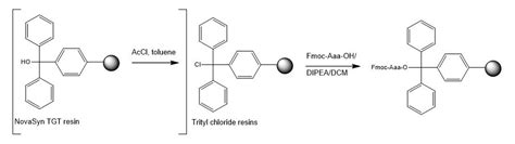 Peptide Resin Loading Protocols