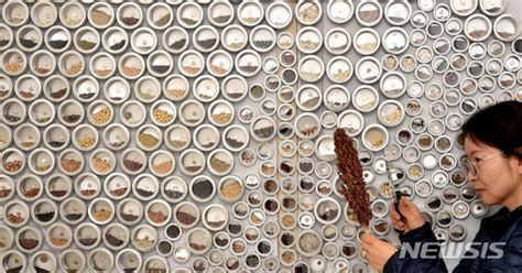 토종 종자은행 오는 28일 개청