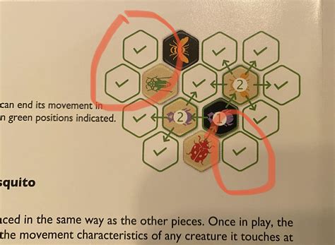 First Time Playing Hive I Dont Understand How The Ladybug Can Move On