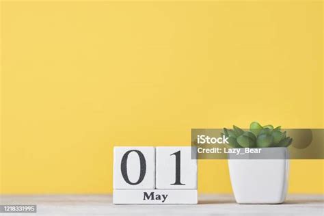 날짜 5 월 1 나무 블록 달력 노란색 배경에 냄비에 즙이 많은 식물 노동절 개념 5월에 대한 스톡 사진 및 기타 이미지 5월 개념 계획 Istock