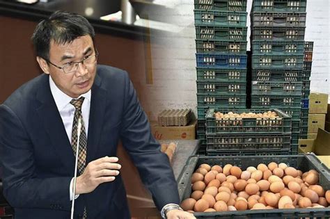 解決缺蛋 陳吉仲：進口雞蛋直接進超市 1盒10顆賣65元 自由電子報 Line Today