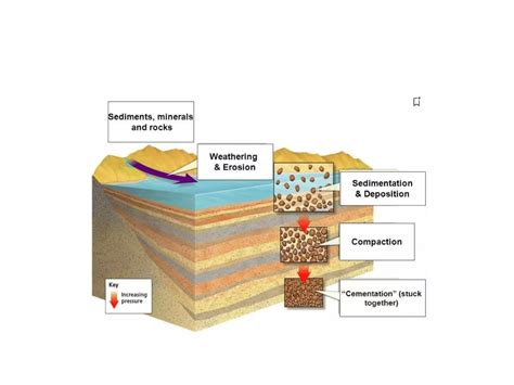 Sedimentation Velocity And Sedimentation Measurements Slidespptx