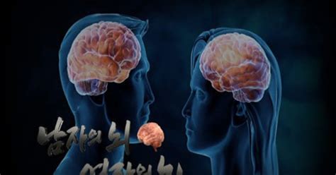 남자와 여자 차이 만드는 뇌의 비밀