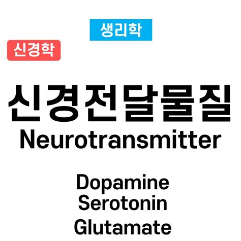 신경전달물질 도파민 세로토닌 글루탐산의 역할 Neurotransmitters Roles Of Dopamine Serotonin And Glutamate 의학당