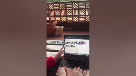 The Worst Mistake Beginner Programmers Can Make Ai Codingtips Youtube