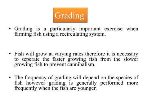 Recirculatory Aquaculture System Pptx