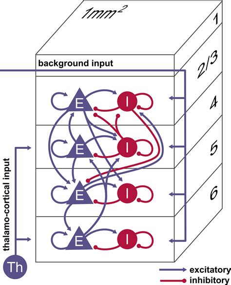 Welcome To The NEST Simulator Documentation NEST Simulator User Documentation Documentation