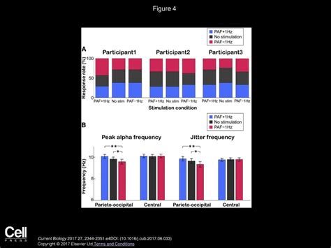 Illusory Jitter Perceived At The Frequency Of Alpha Oscillations Ppt