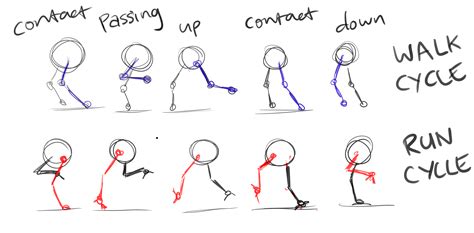 Run Cycle