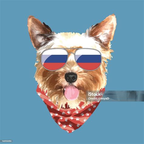 요크셔 테리어 초상화 러시아 국기 안경과 두건에 귀여운 멋진 개 벡터 일러스트 레이 션 개에 대한 스톡 벡터 아트 및 기타