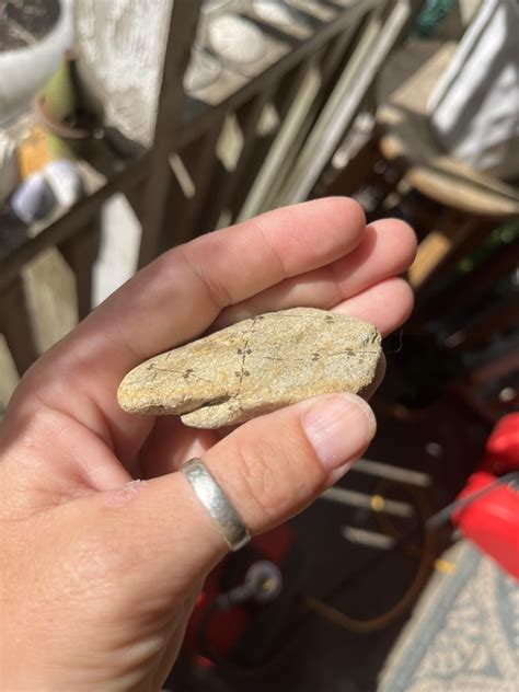 Has Anyone Ever Seen This Pattern Rfossils