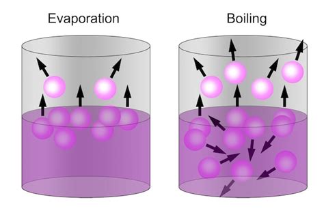 Premium Photo Evaporation And Boiling Point Of Liquids