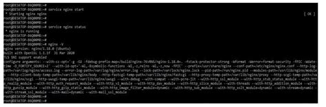 Nginx Container How To Setup Nginx Docker Container Server