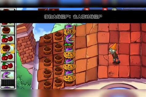 植物大战僵尸：食人花对战僵尸