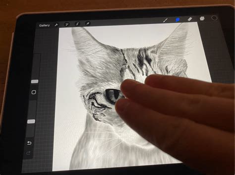 How To Copy And Paste In Procreate The Easy Way Adventures With Art