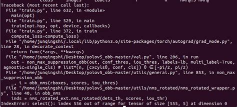 训练自定义数据集时出现index Xxx Out Of Range For Tensor Size At Dimension 0的错误
