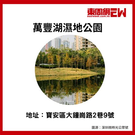 深圳賞花攻略2024 8個人少景靚的寶安區公園 免費免預約花海打卡攻略