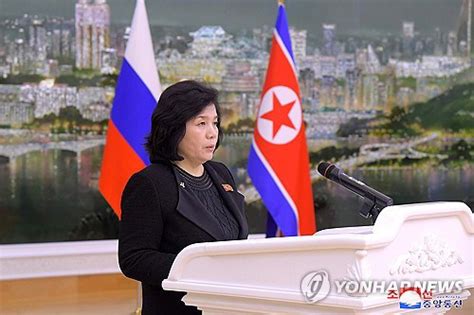 북 새 대북제재 감시체제 출범에 가담한 나라 대가 치를것
