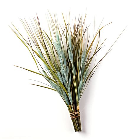 Premium Ai Image Blackwell Switchgrass Bluegreen A Bundled Bouquet