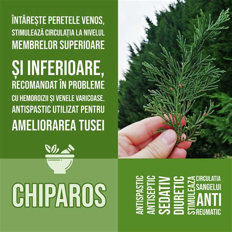 Chiparos Beneficii Tile Photograph By Ana Naturist Fine Art America