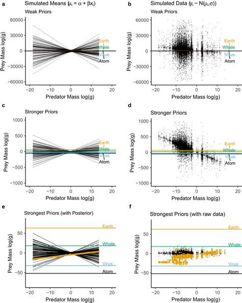 prior predictive simulations showing the implications of the priors on