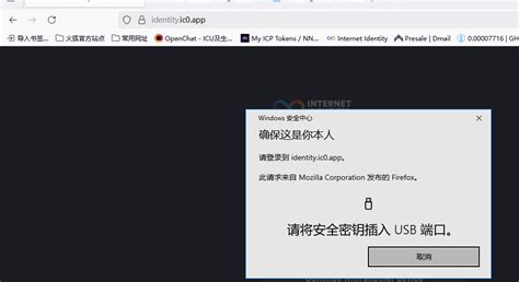 I Encountered A Problem While Using Internet I Identity To Verify My