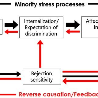 Schematic Diagram Illustrating Possible Causal Pathways From Same Sex Download Scientific