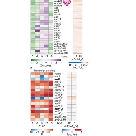 Transcript Isoform Switch Is Analysis Uncovers Different Flowering Download Scientific
