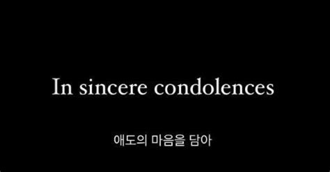 뉴진스 여객기 참사 희생자 추모 애도의 마음을 담아