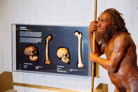 Mettmann Neanderthal Museum Admission Ticket