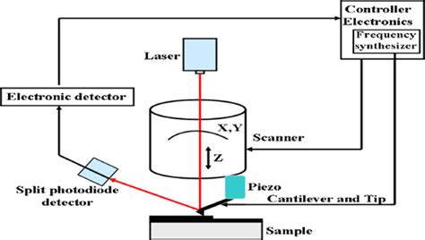 Schematic Diagram Of Major Components Of An Afm Download Scientific