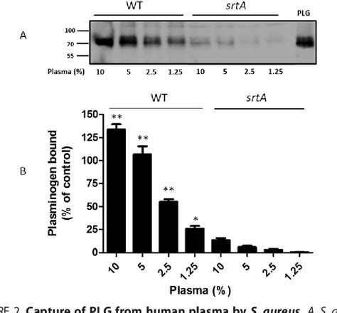 Figure 1 From Molecular Interactions Of Human Plasminogen With Fibronectin Binding Protein B