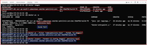 Optimizing Docker Image Size For Java Applications Multi Stage Builds And Jlink Explained Dev