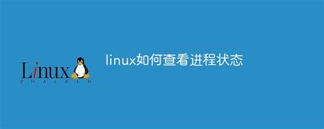 Linux如何查看进程状态 美云