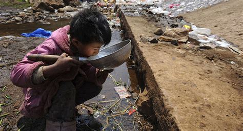 Consecuencias De La Contaminación Del Agua Mx