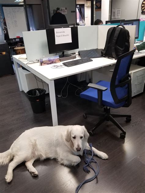 Rajae El Bouchti On Linkedin Kalagan Work Team People