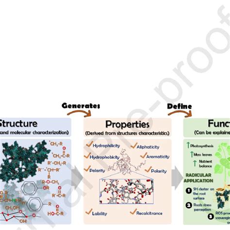 Structure Property Function Relationship Of The Effect Of Hss On Plants Download Scientific