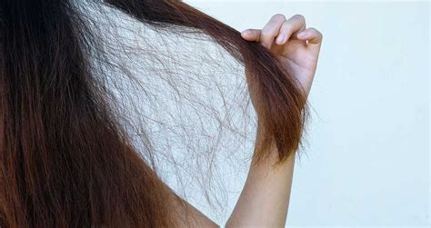 Cabelo Ressecado Conheça 5 Hábitos Que Podem Ressecar Os Fios L