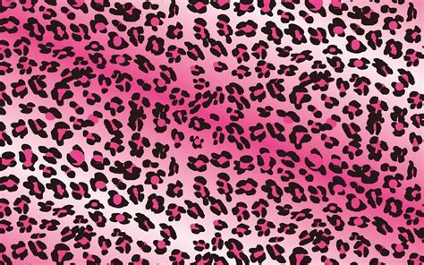 100 Pink Leopard Print Wallpapers