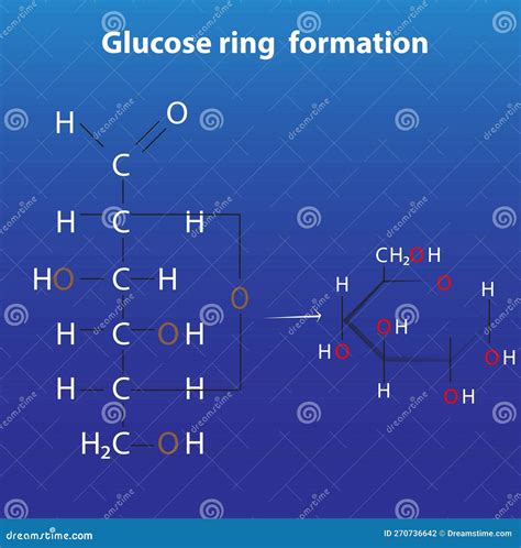 Glucose Ring Formation Anomers Of Glucose Stock Vector Illustration