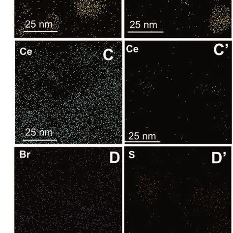 Elemental Mapping Of Before And After Coating Of Au Ceo2 Csnps By Using Download Scientific