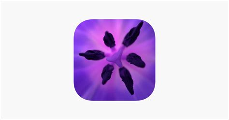 ‎macro Camera On The App Store