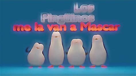 Los Pingüinos Me La Van A Mascar🐧 Youtube
