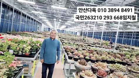 4월18일 안산다육 2부 겔러리 특이종 안산다육 금다육이 다육이 색금 특이종 밭정리 다이정리 YouTube