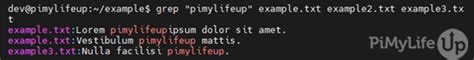 How To Use The Grep Command Pi My Life Up